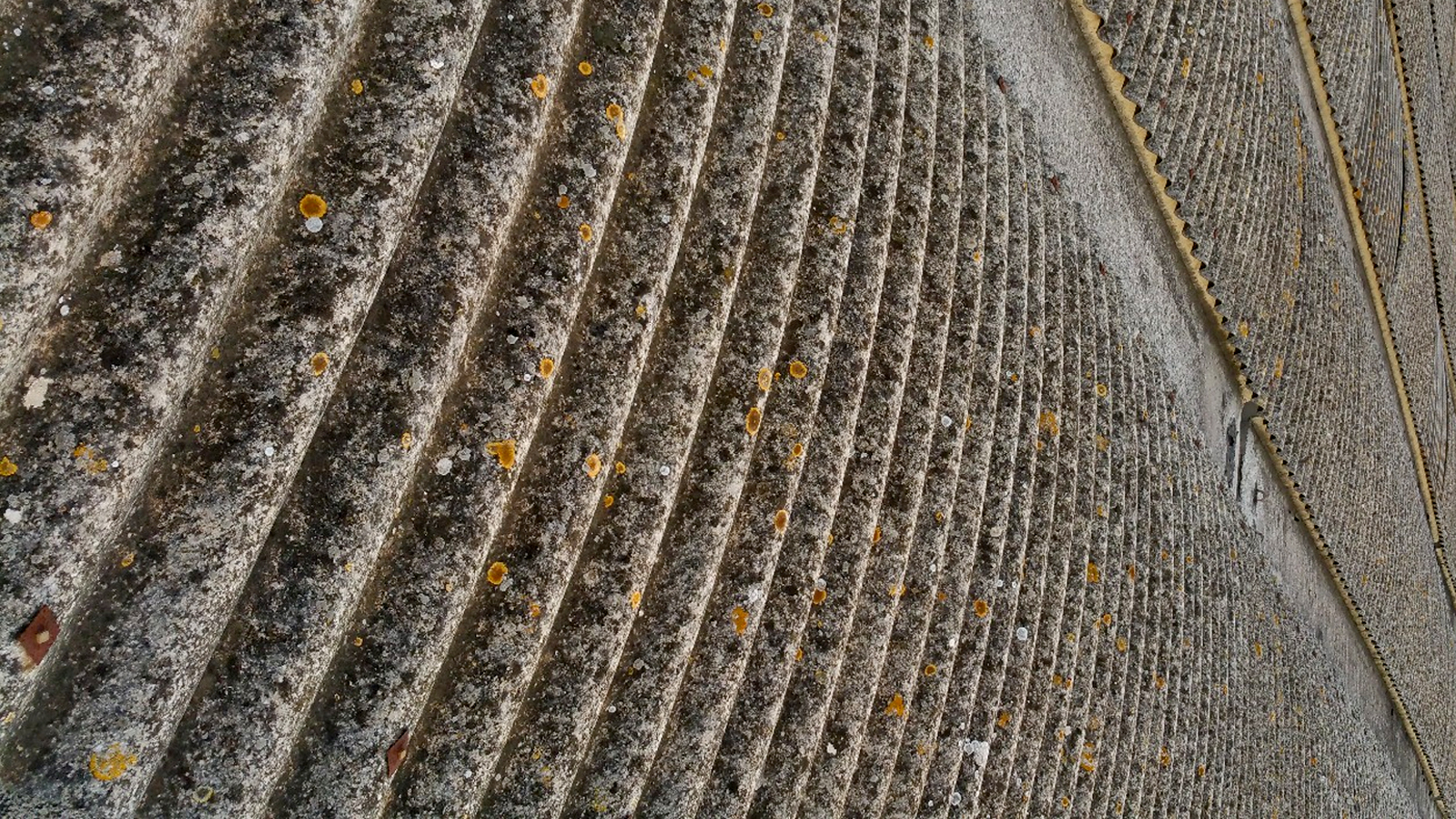 Smaltimento Eternit - Ecoteti srl Leader di Settore Italia da 25 anni